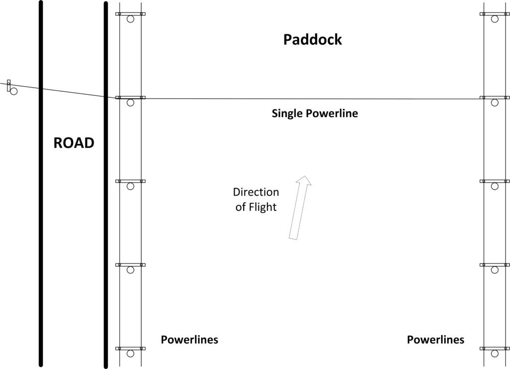 Fly Me Friendly | Can't keep my eyes from the circling skies
